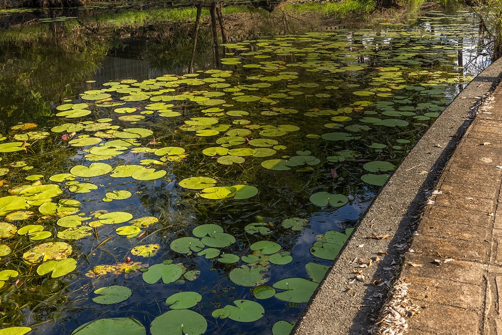 Climate resilience through effective flood mitigation - Brookfield ...