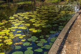 Climate resilience through effective flood mitigation - Brookfield ...