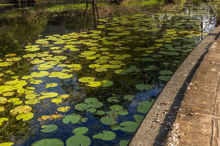 Climate resilience through effective flood mitigation - Brookfield ...